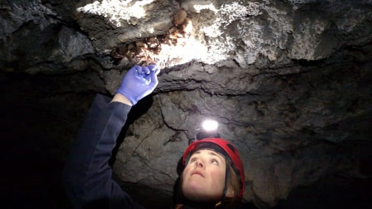 A Beginner’s Guide: How to Get Into Caving – startcaving.com