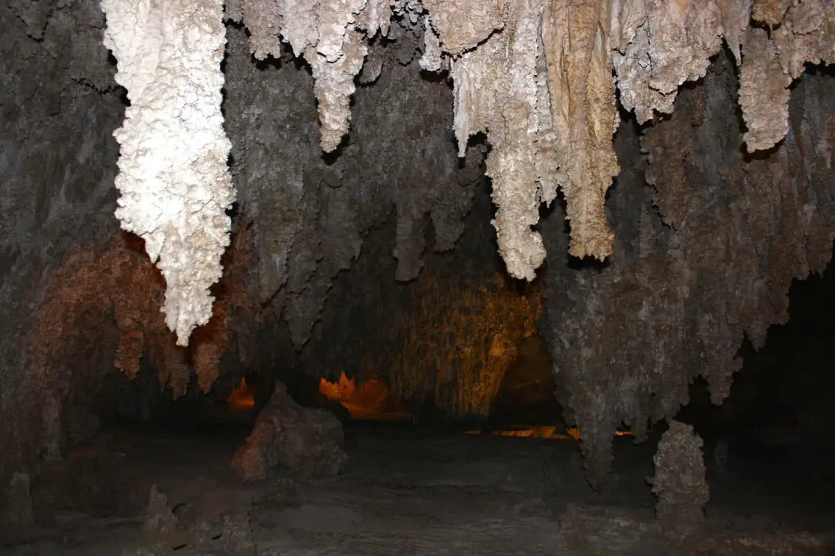 What Can Be Found in A Cave? – startcaving.com